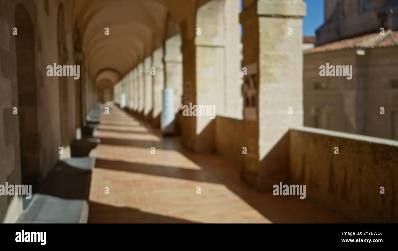 Blurred hallway in historic university campus with arched architecture ...