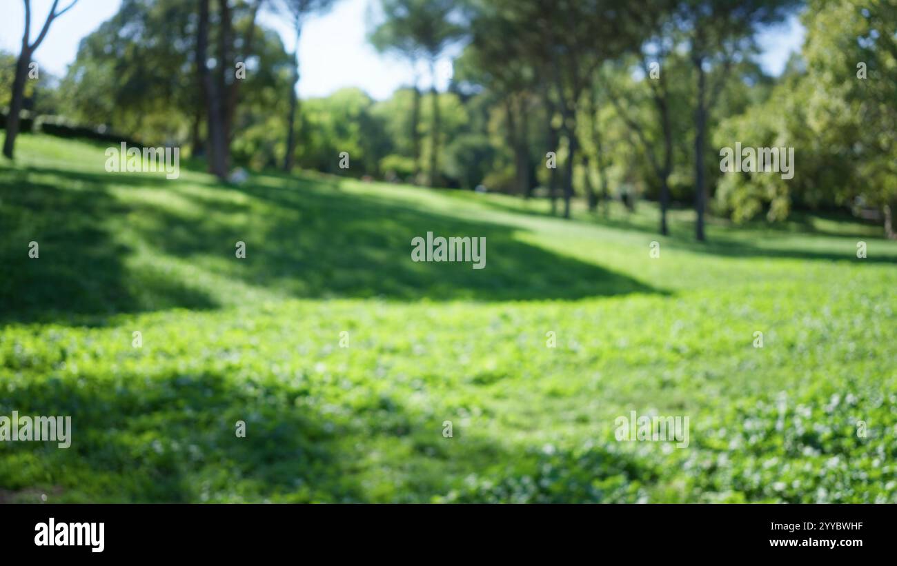 Blurred greenery scene in villa borghese gardens in rome with defocused ...