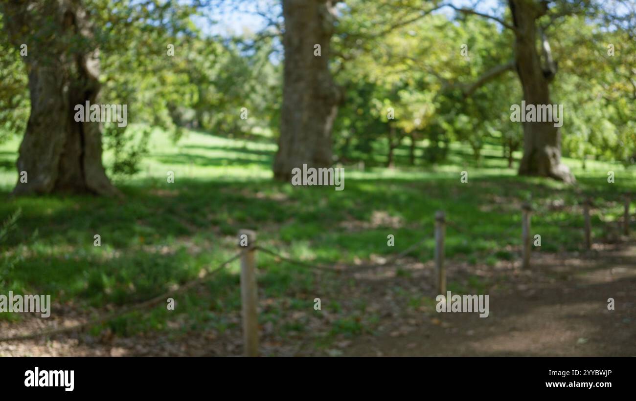 Villa borghese gardens in rome feature a blurred outdoor setting with ...