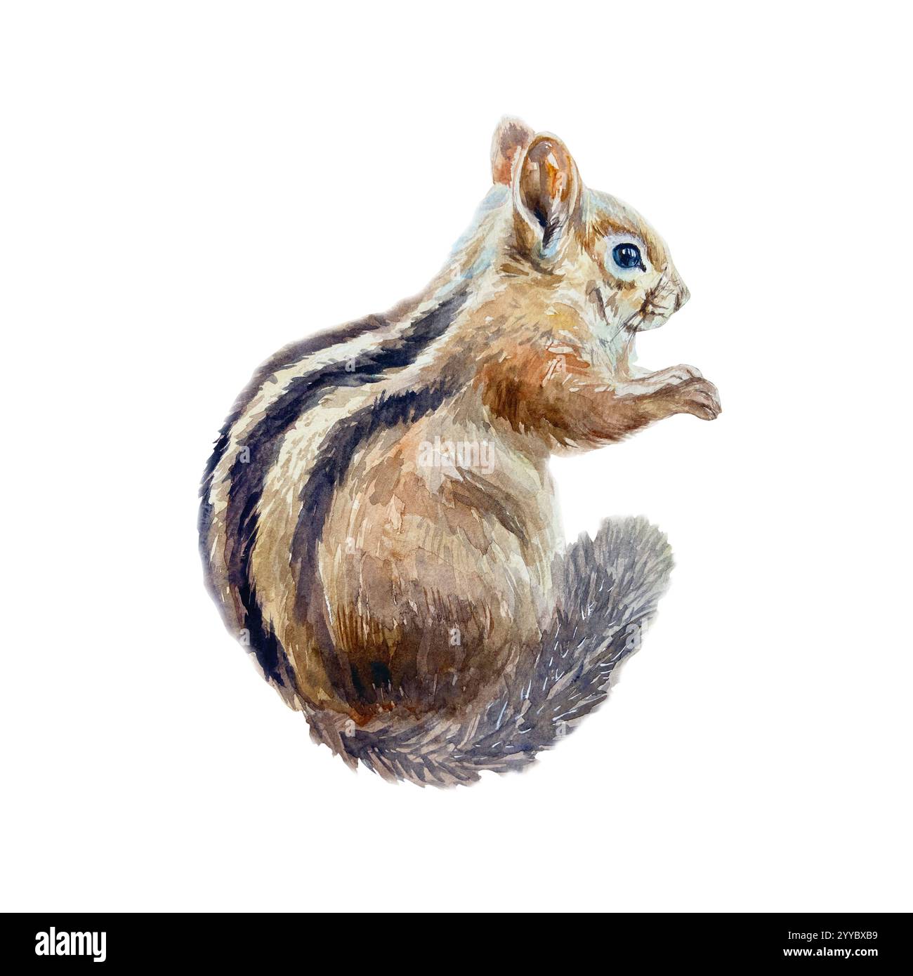 Wildlife protection art Cut Out Stock Images & Pictures - Alamy