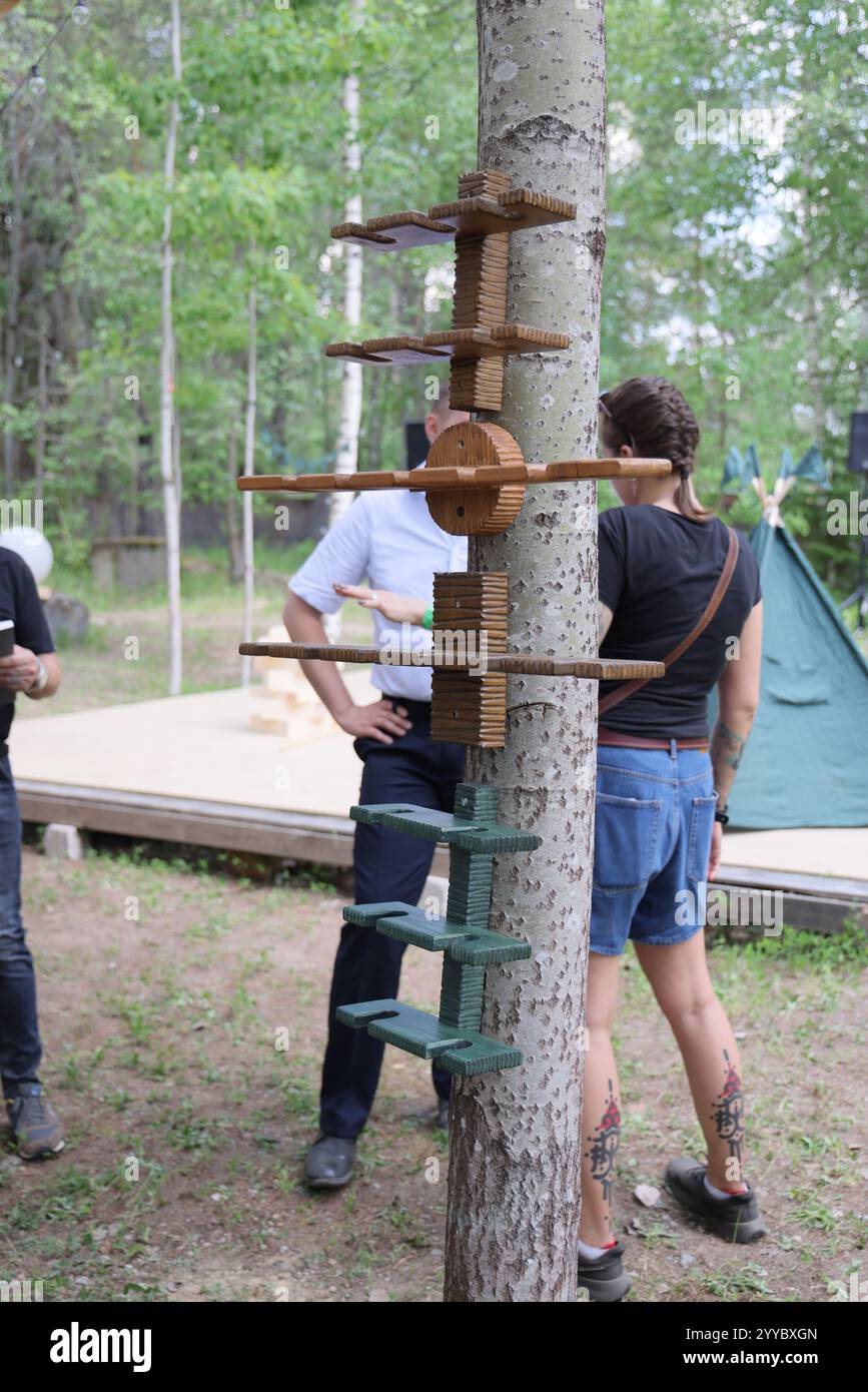 An innovative tree climbing structure is uniquely displayed within a ...