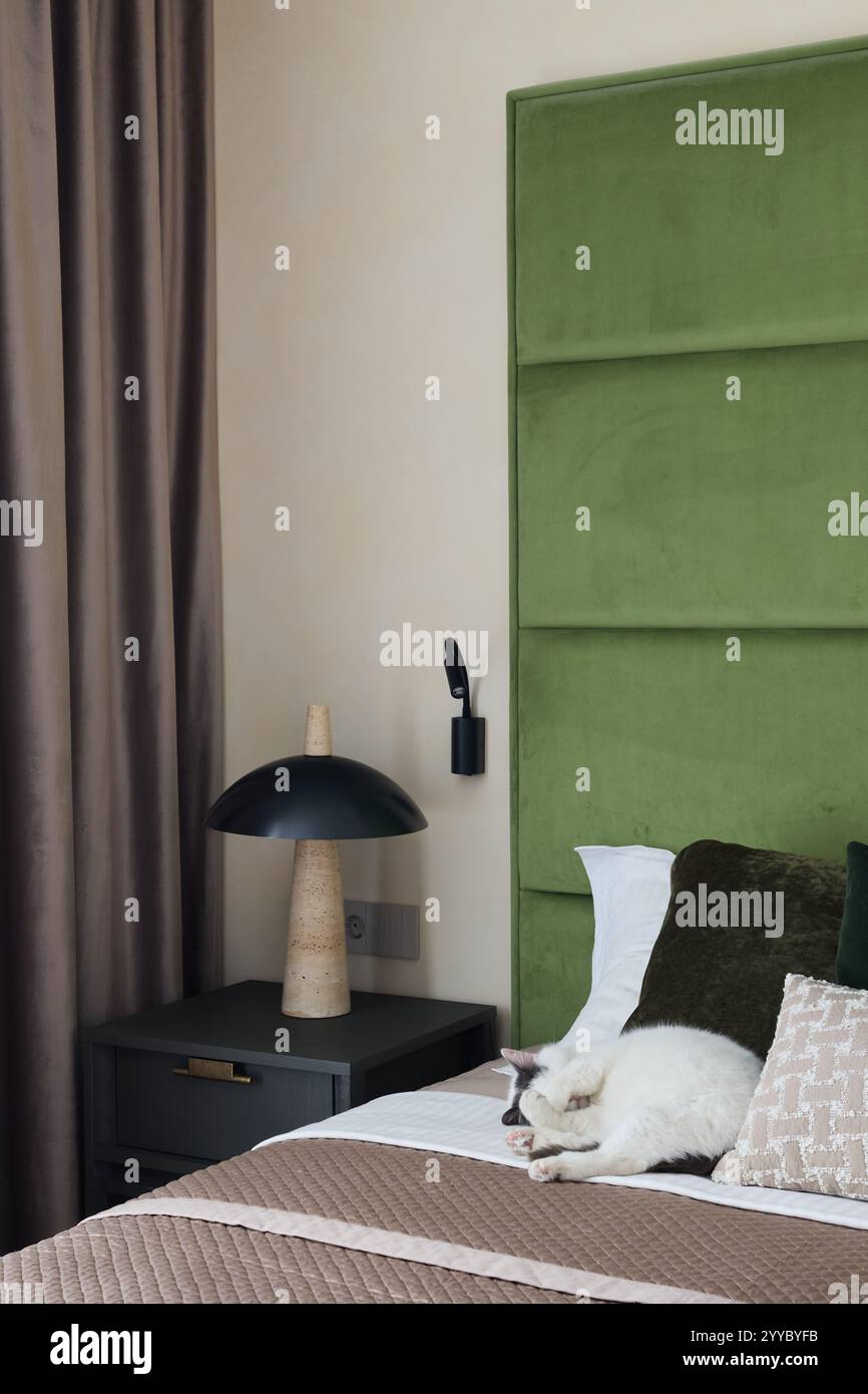 Striking color palettes hi-res stock photography and images - Alamy