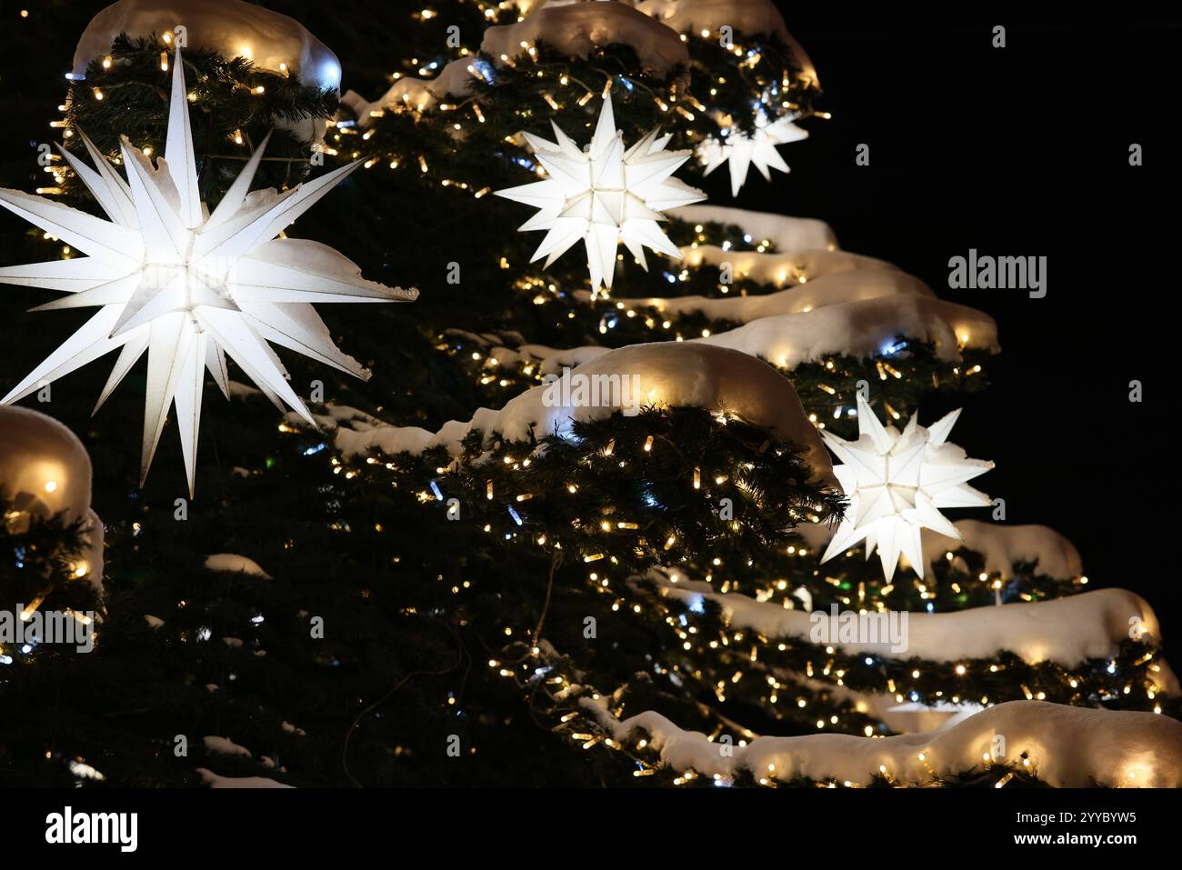 A beautifully lit Christmas tree, adorned with star decorations, and ...