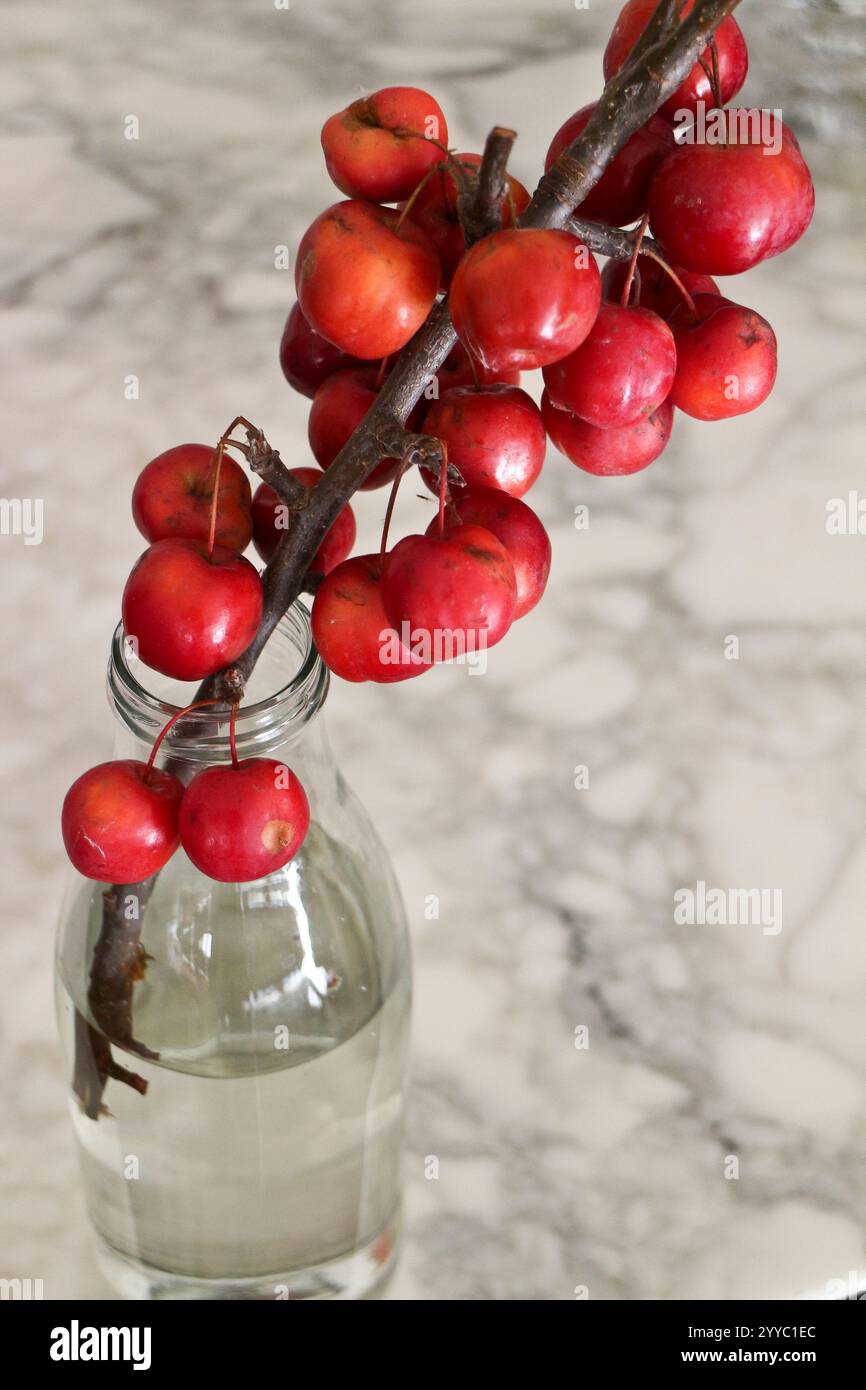 Rockit apple hi-res stock photography and images - Alamy