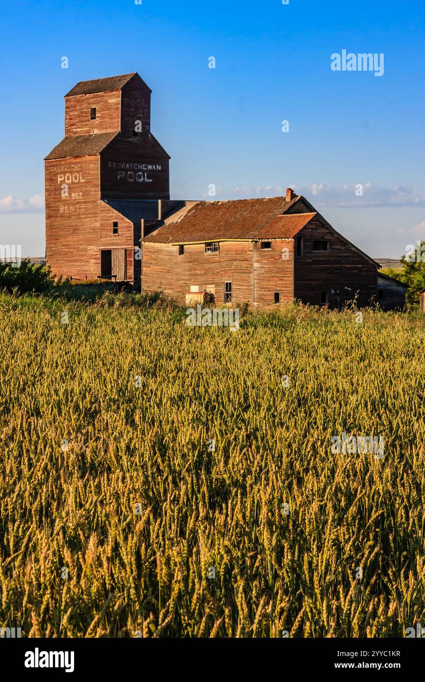 A large grain silo with a sign that says Pool. The silo is surrounded ...