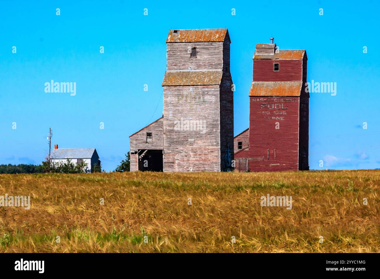 Two old grain silos sit in a field with a blue sky in the background ...