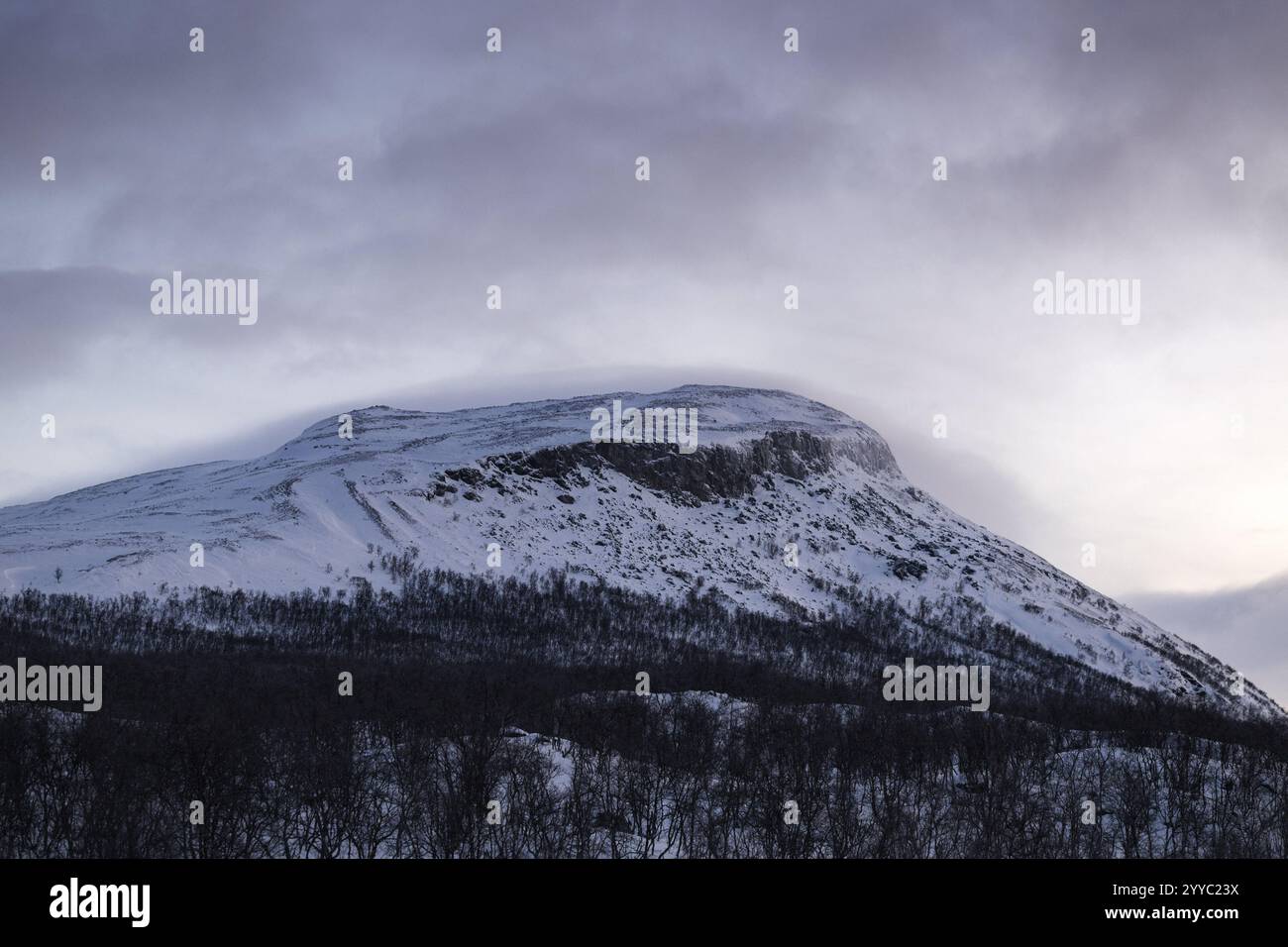 View to Malla fell in Malla Strict Nature Reserve from Saana fell in ...