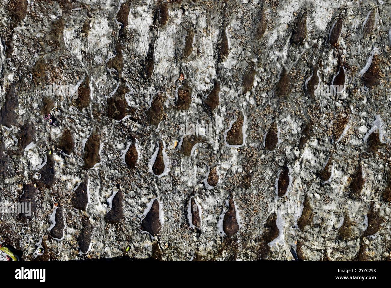 Surface floor with spiked cement with water and foam Stock Photo - Alamy