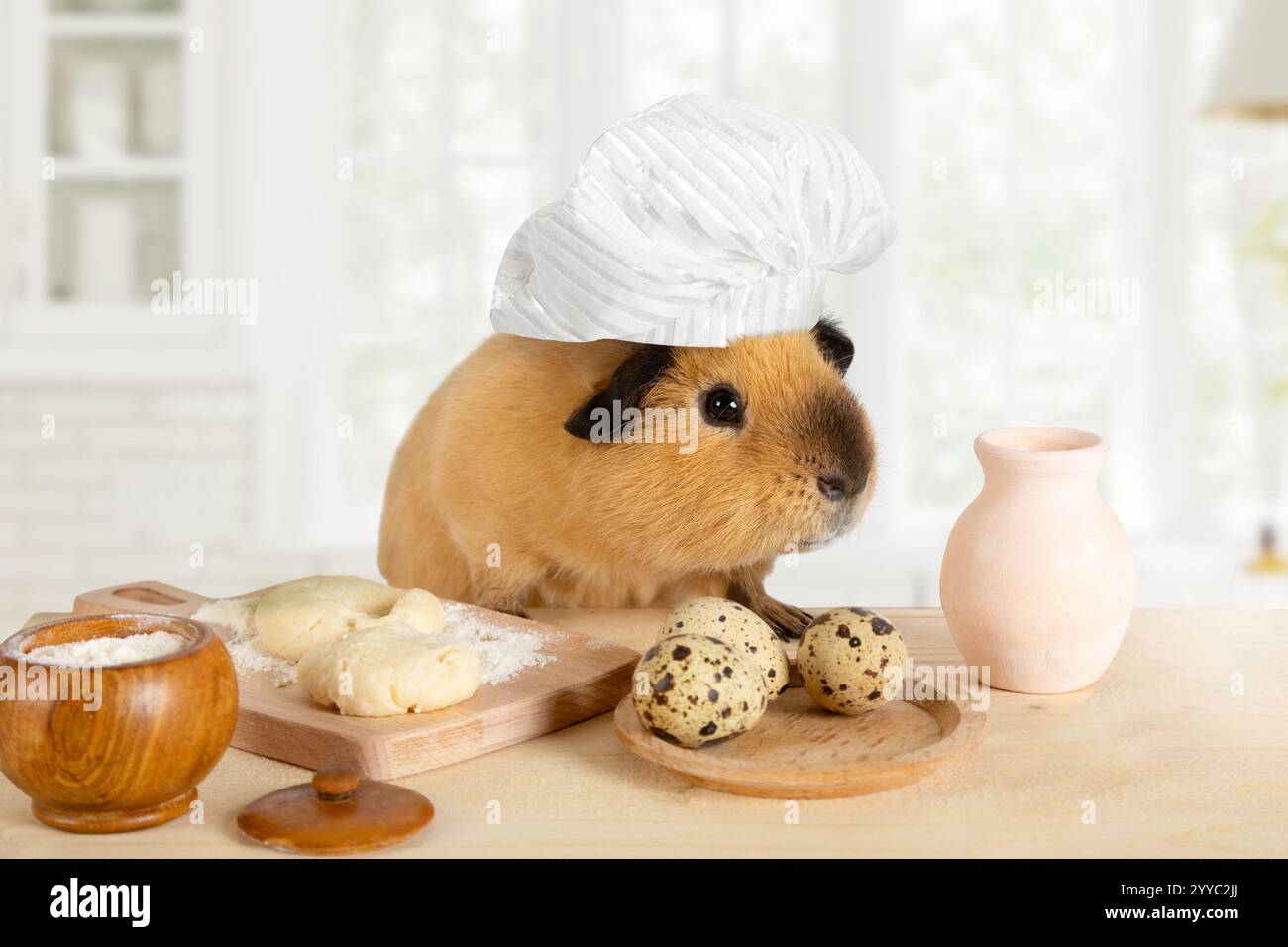 Amusing guinea pig in a chef's hat cooks food in the kitchen Stock ...