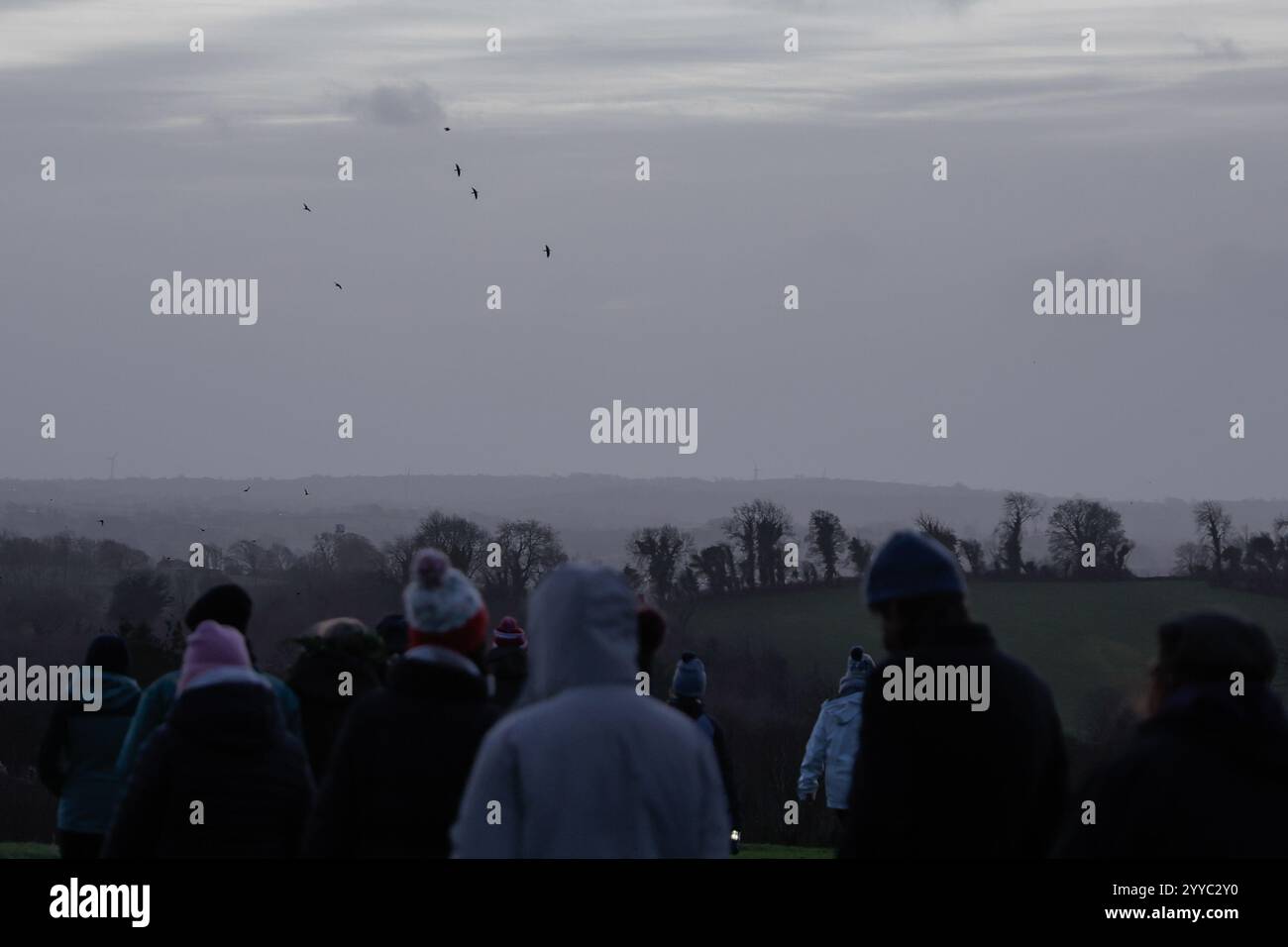 Handout photo issued by Armagh, Banbridge and Craigavon Council of ...