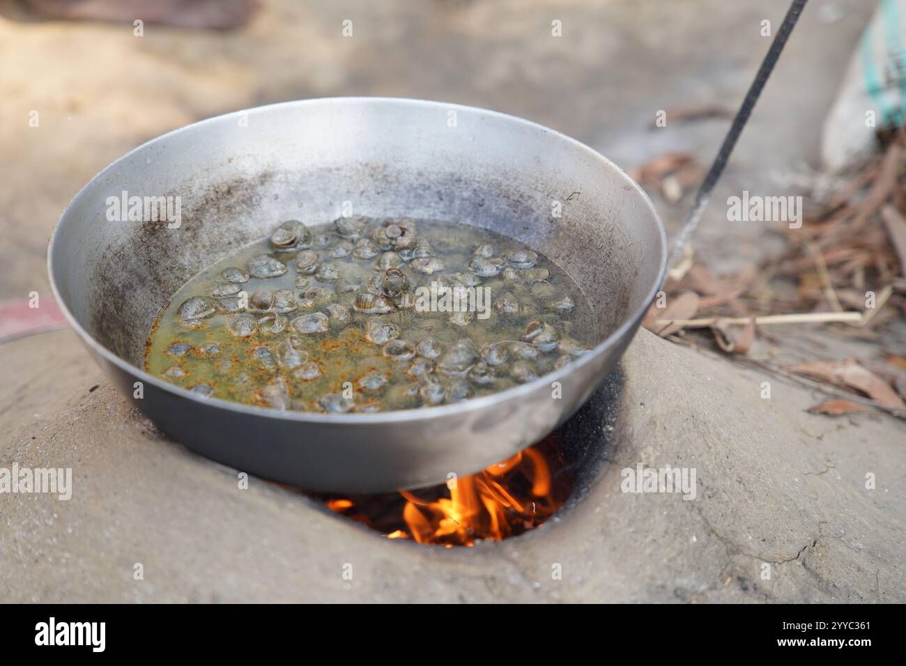 Santiniketan, Birbhum, India. December 8, 2024: In a picturesque ...