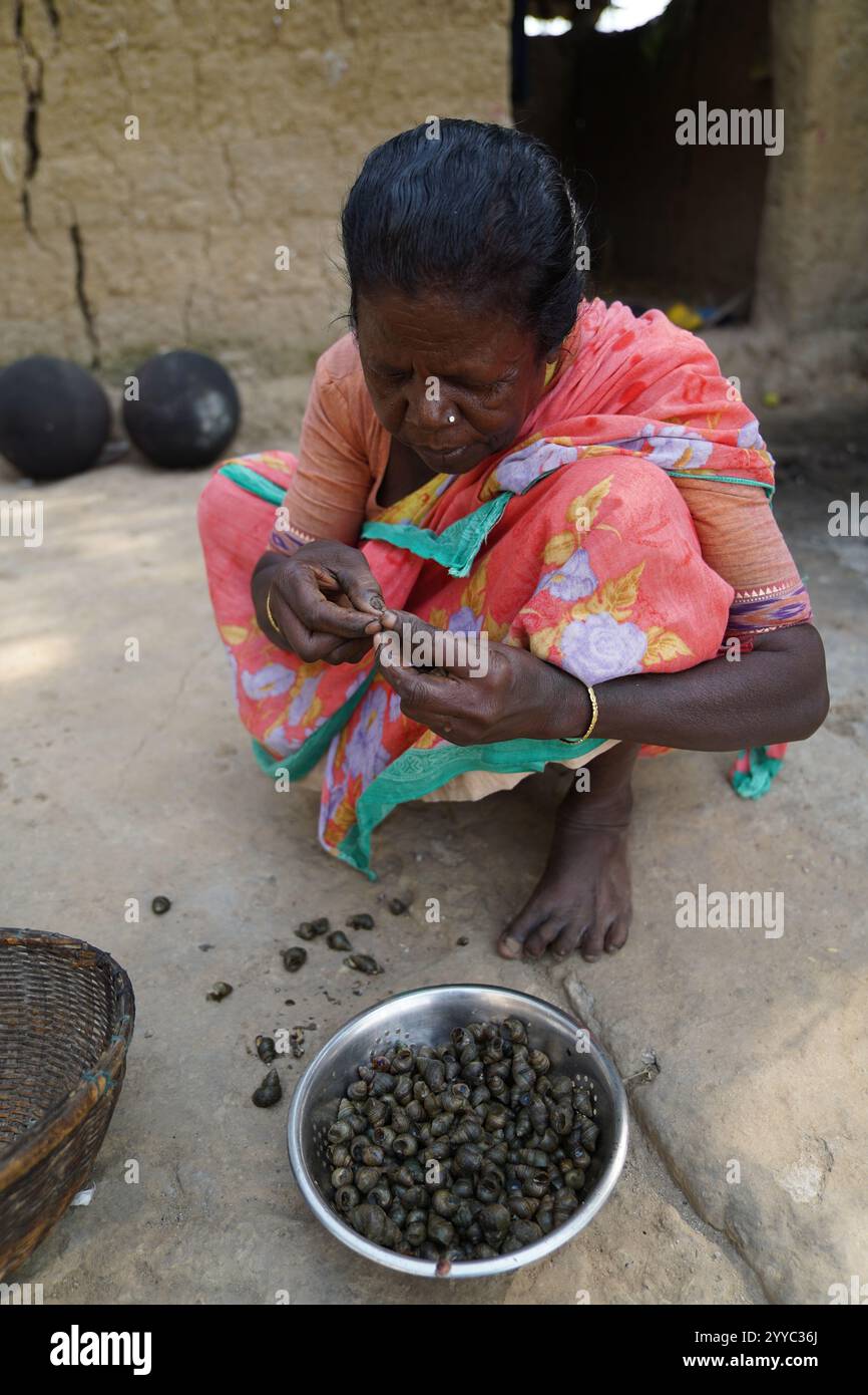 Santiniketan, Birbhum, India. December 8, 2024: In a picturesque ...