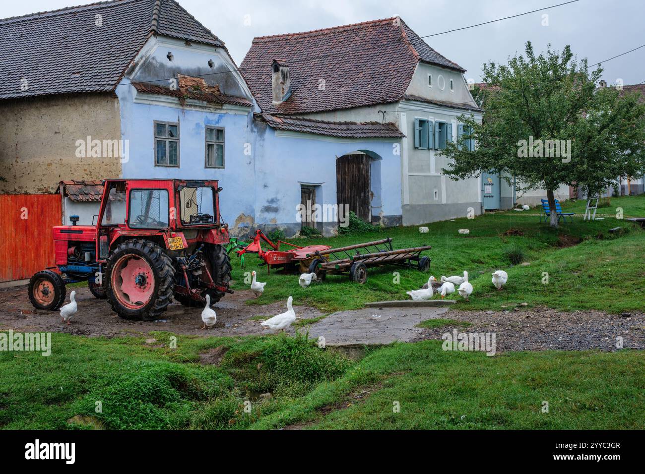 A farm in Viscri, Transylvania, Romania Stock Photo - Alamy
