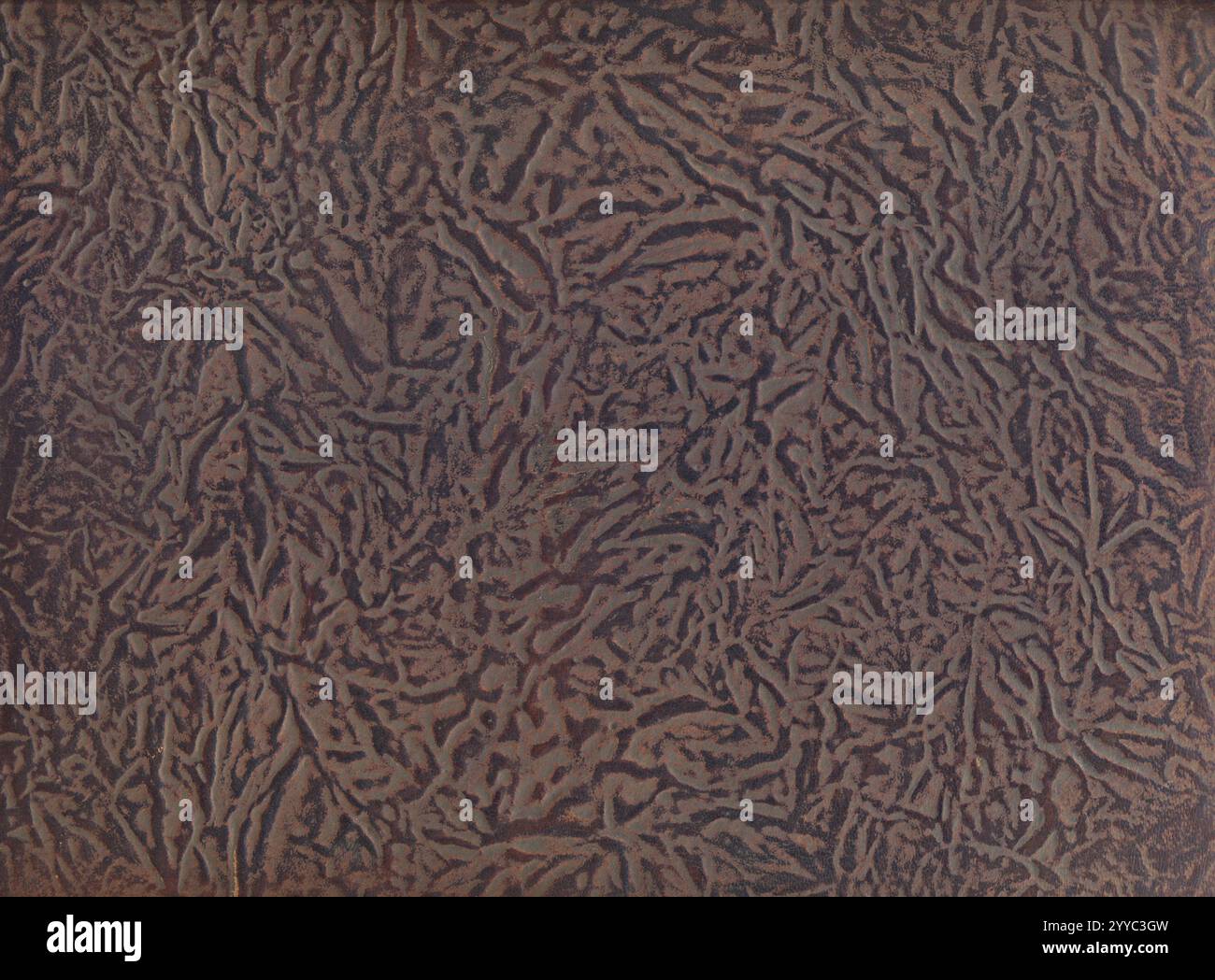 Brown book cover hi-res stock photography and images - Alamy