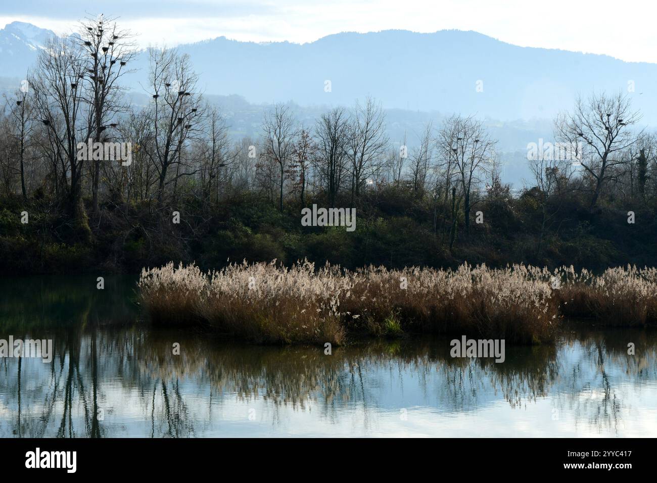 Thonon Les Bains, France. 18th Dec, 2024. River at Dranse Delta Nature ...