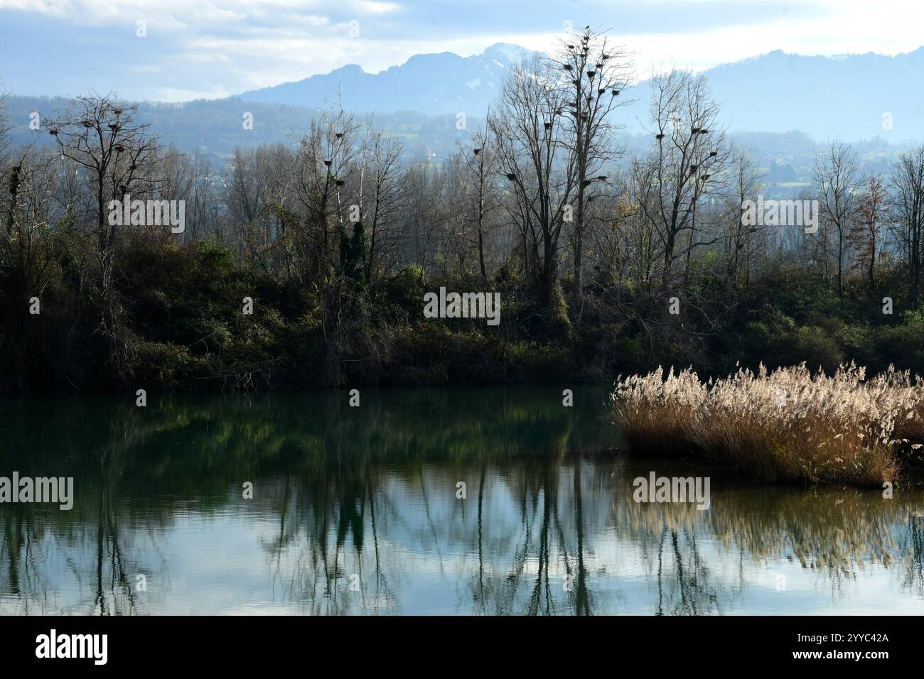 Thonon Les Bains, France. 18th Dec, 2024. River at Dranse Delta Nature ...