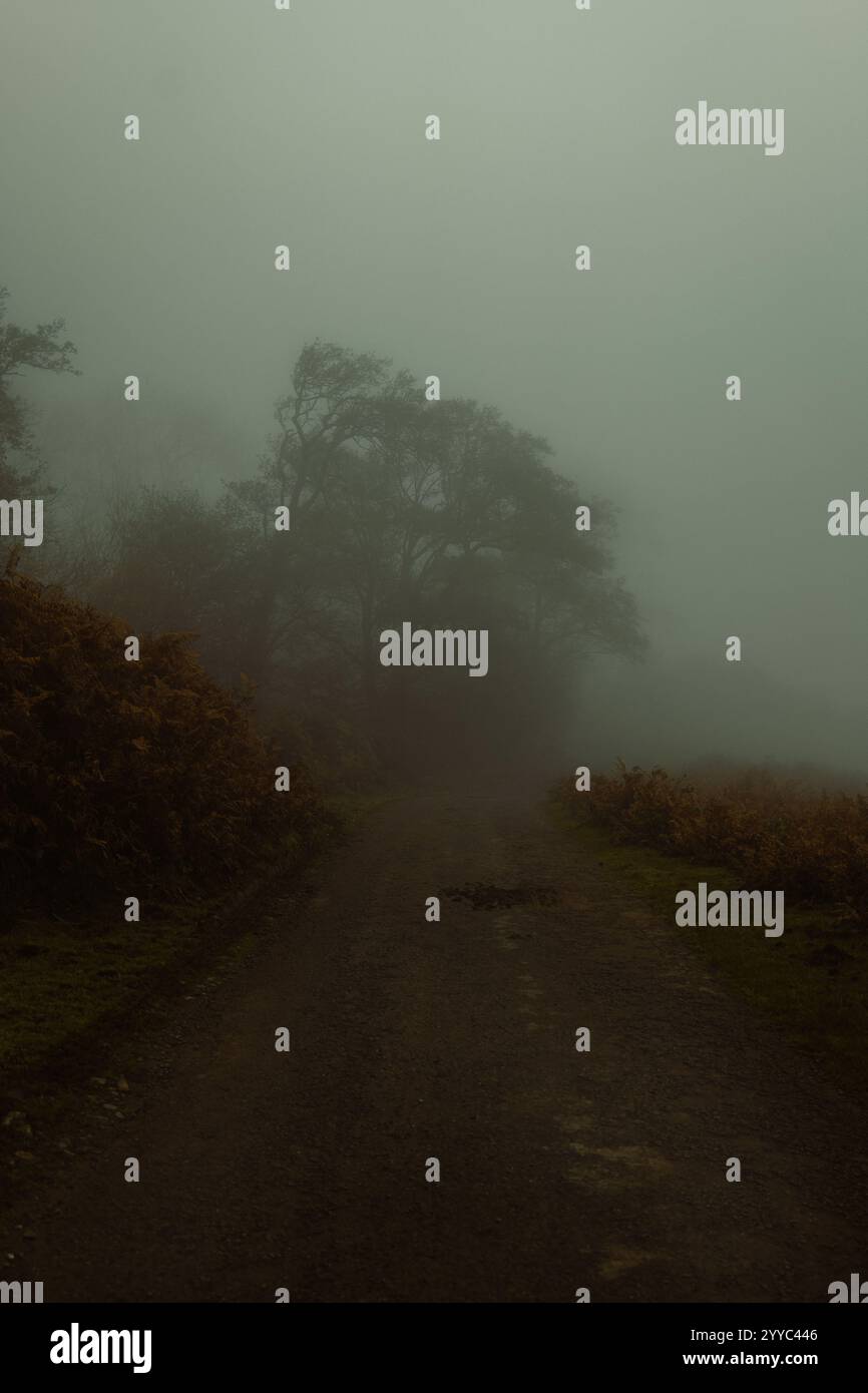 Aerial view mystical landscape hi-res stock photography and images - Alamy