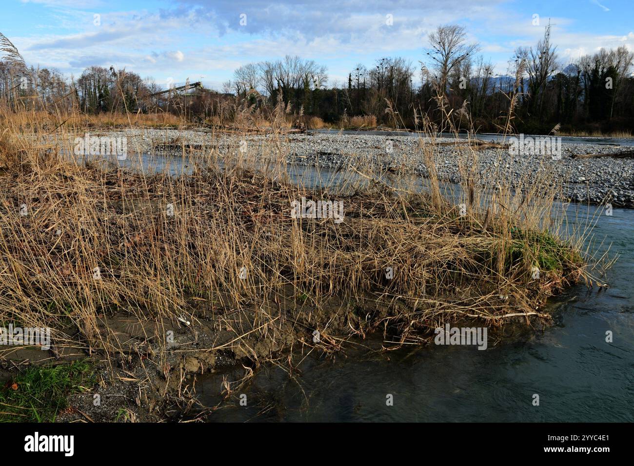Thonon Les Bains, France. 18th Dec, 2024. Vegetation and river seen at ...