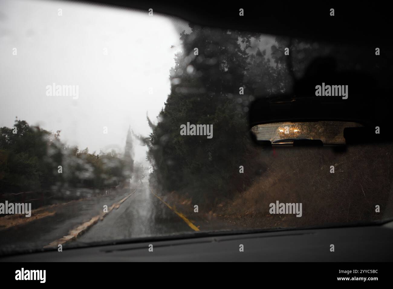 Diffused wet country road, fog, needle trees seen through rain drops on ...