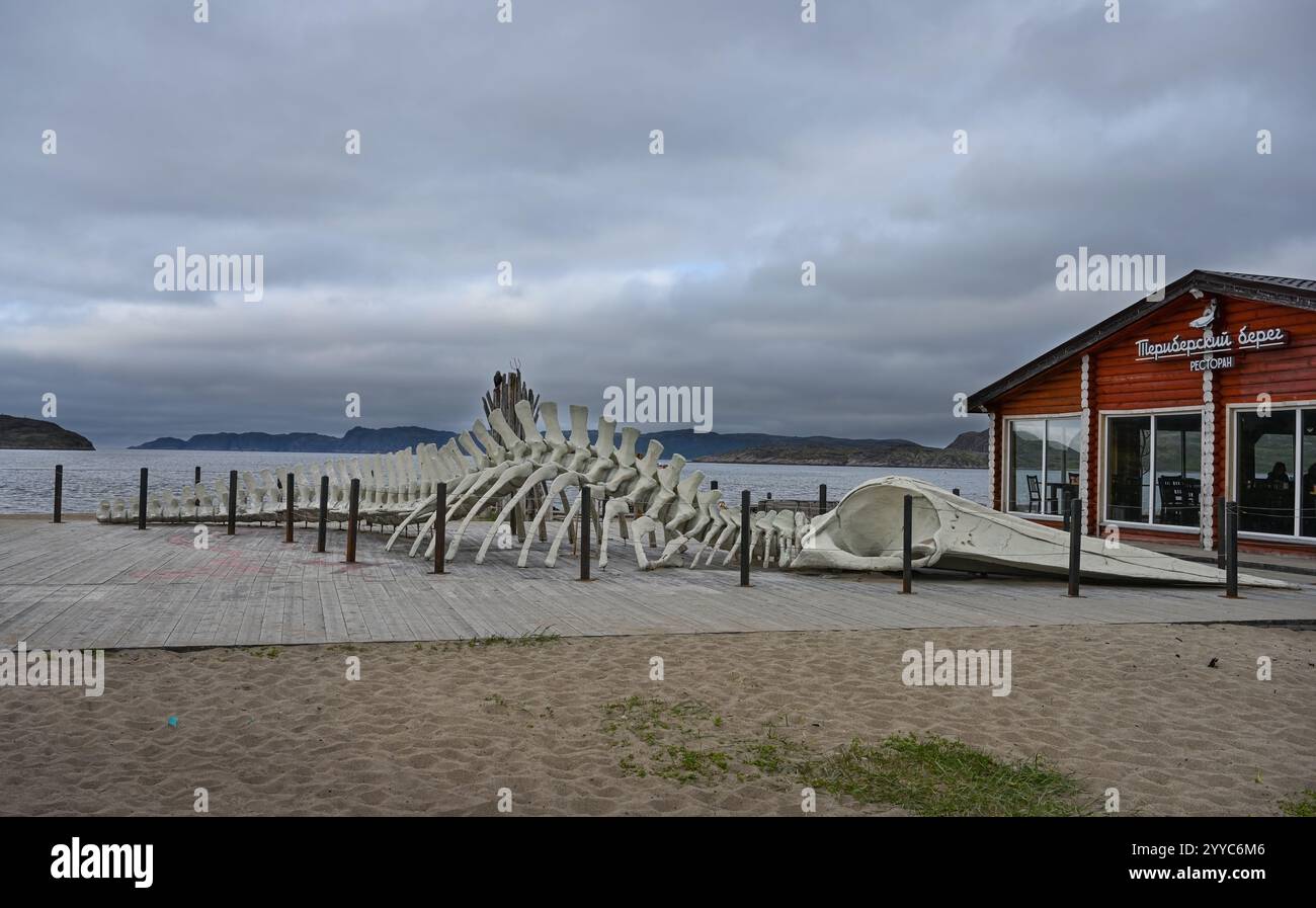 TERIBERKA, MURMANSK REGION, RUSSIA - JUNE 19, 2023: A dummy skeleton of ...