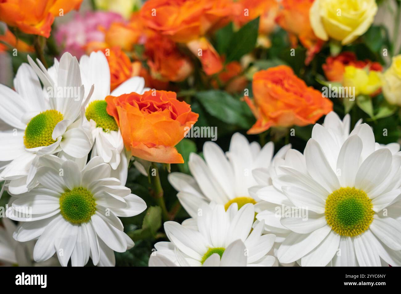 A beautiful assortment of roses in shades of orange and yellow mixed ...