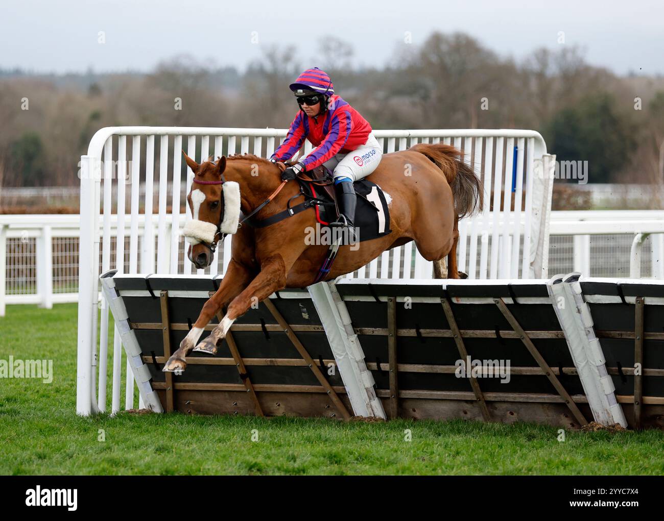 Thank You Ma'am ridden by Olive Nicholls clears the last before going ...