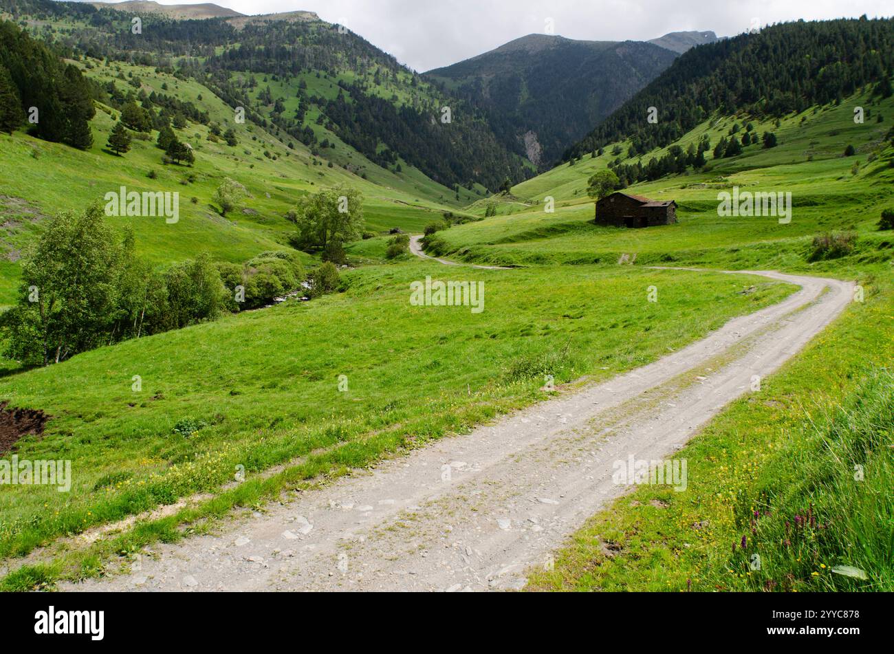 Tor Valley is located at the L'Alt Pirineu Nature Park. Lleida ...