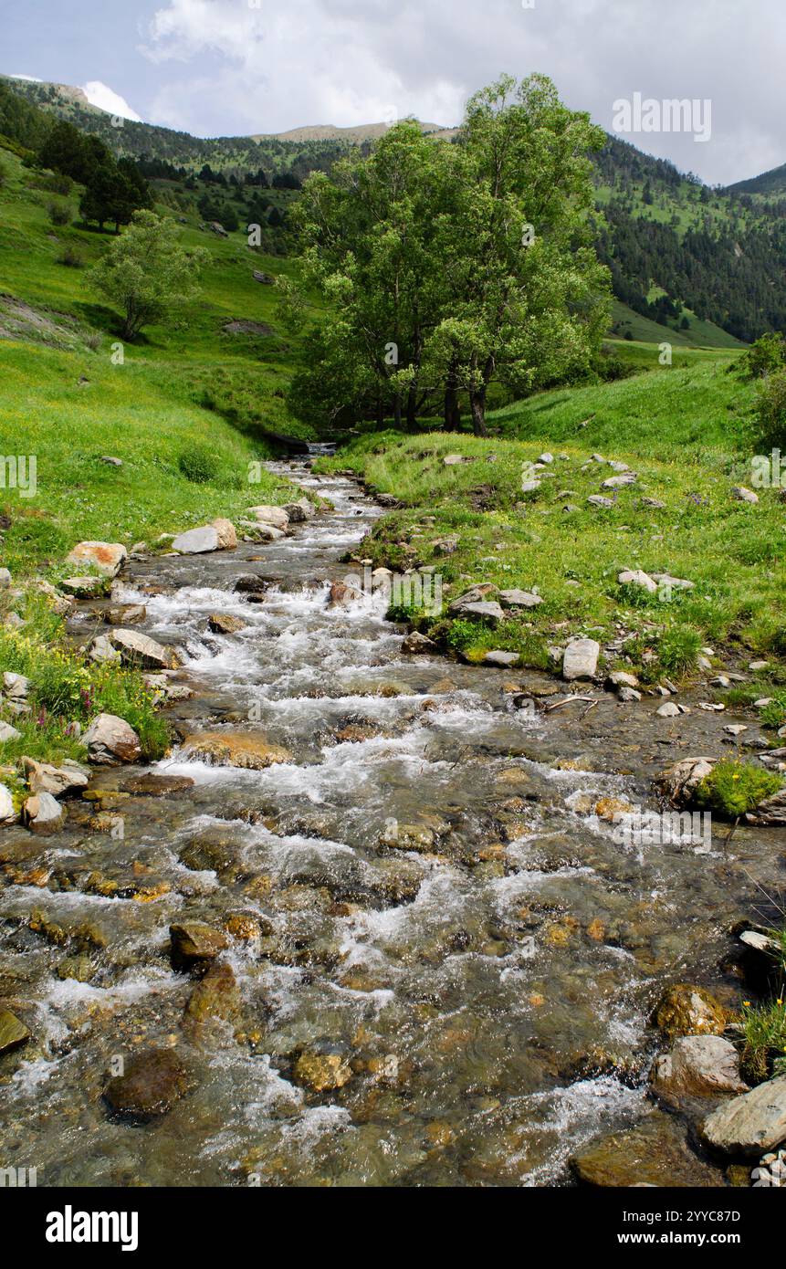 Tor Valley is located at the L'Alt Pirineu Nature Park. Lleida ...