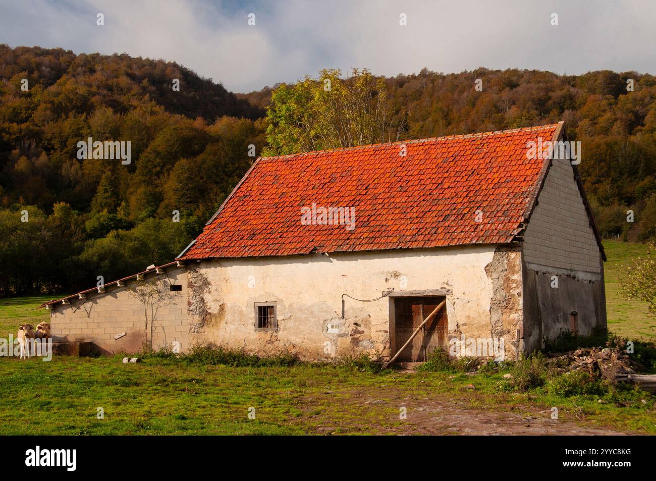 Garralda rural landscapes. Aezkoa Valley, Navarre, Spain Stock Photo ...