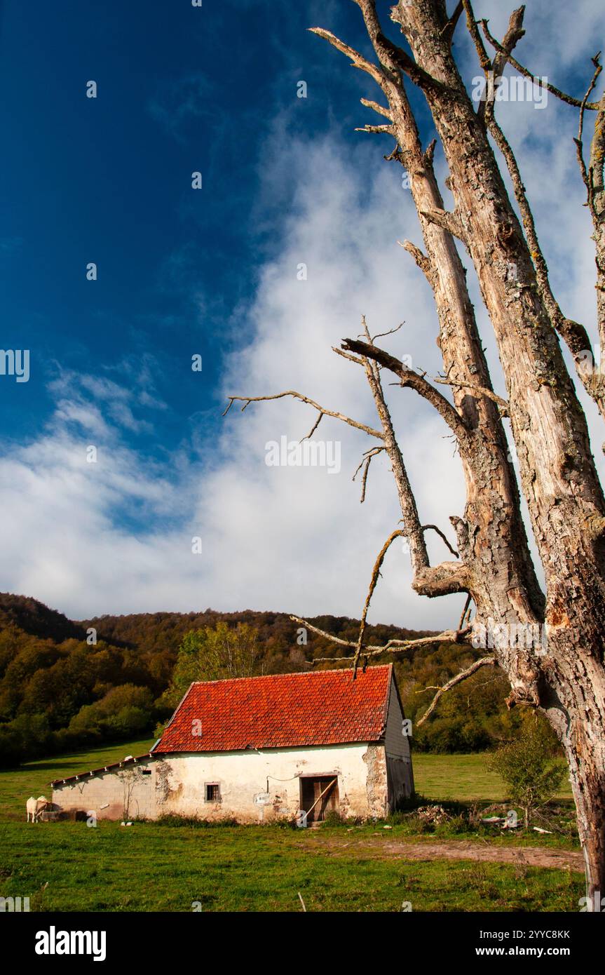 Garralda rural landscapes. Aezkoa Valley, Navarre, Spain Stock Photo ...