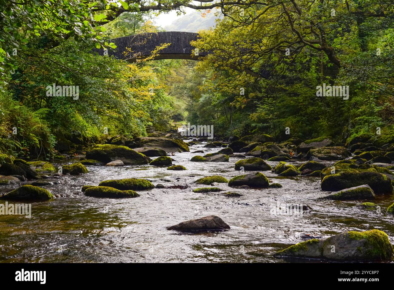 East Lyn River flowing over boulders and rocks in tree-lined valley ...