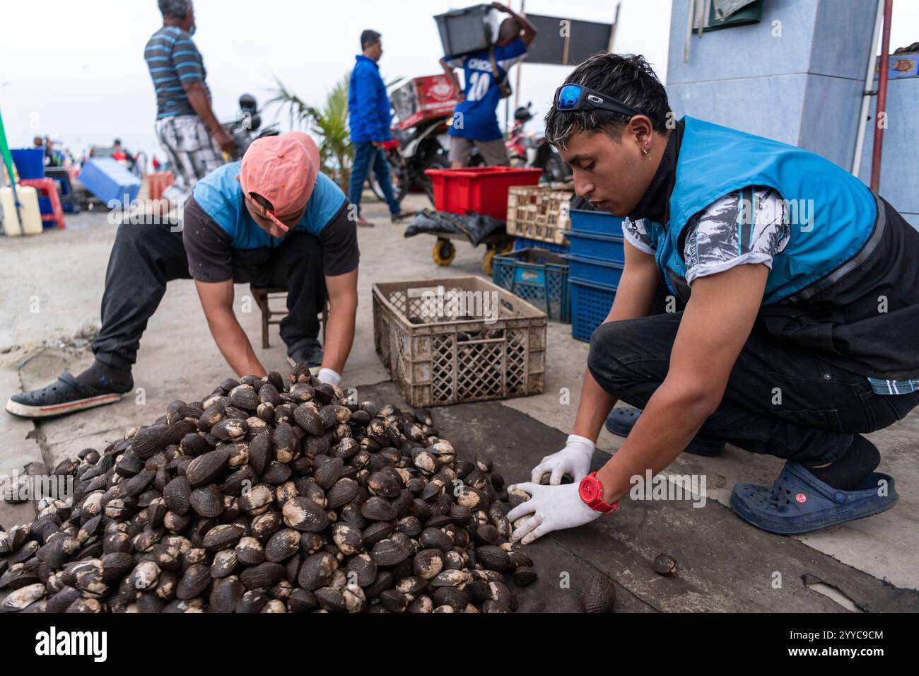 Fishmarket, Manta, Manabi, Ecuador Stock Photo - Alamy