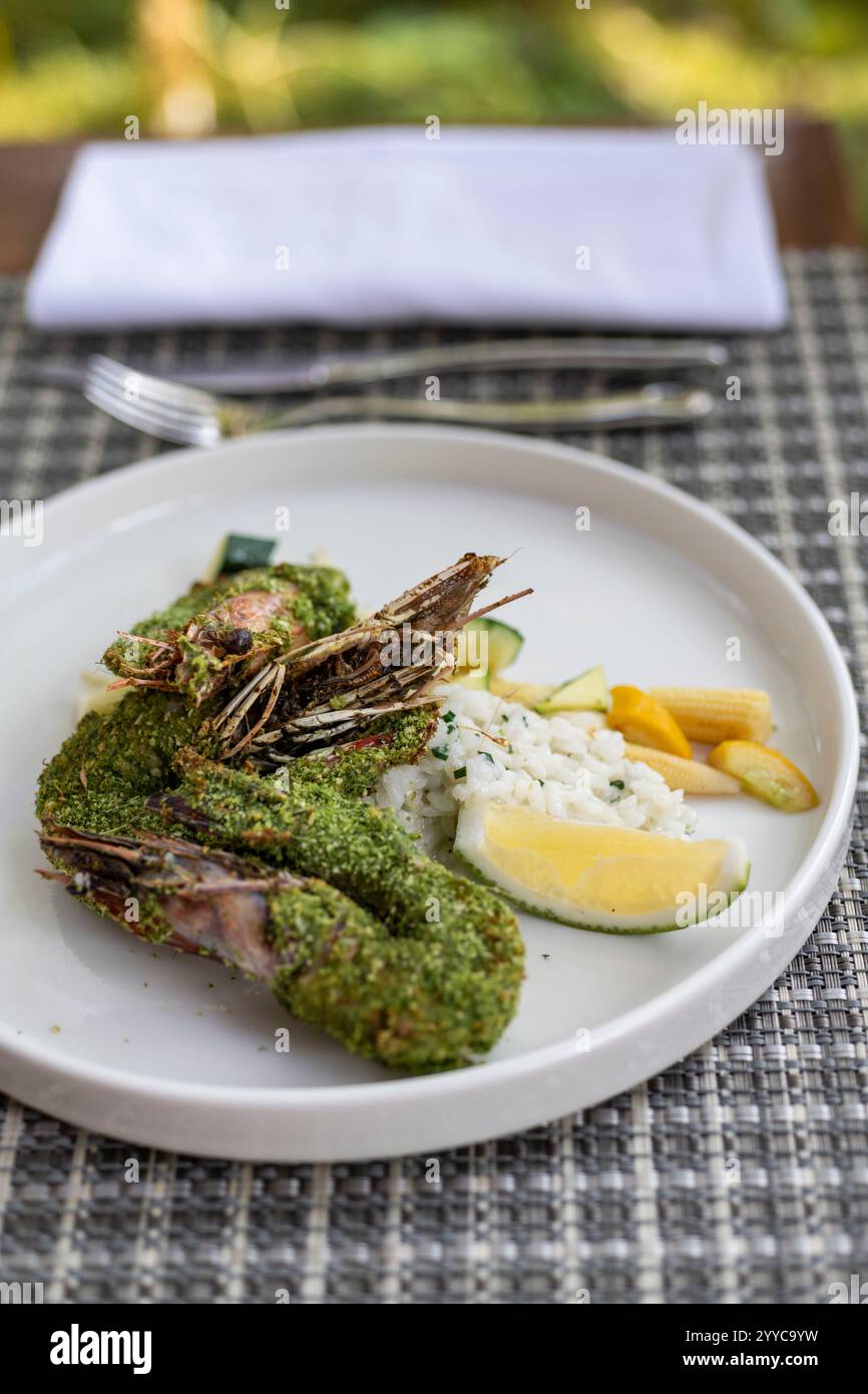 Prawns, Mashpi, Reserva Mashpi Amagusa, Pichincha, Ecuador Stock Photo ...