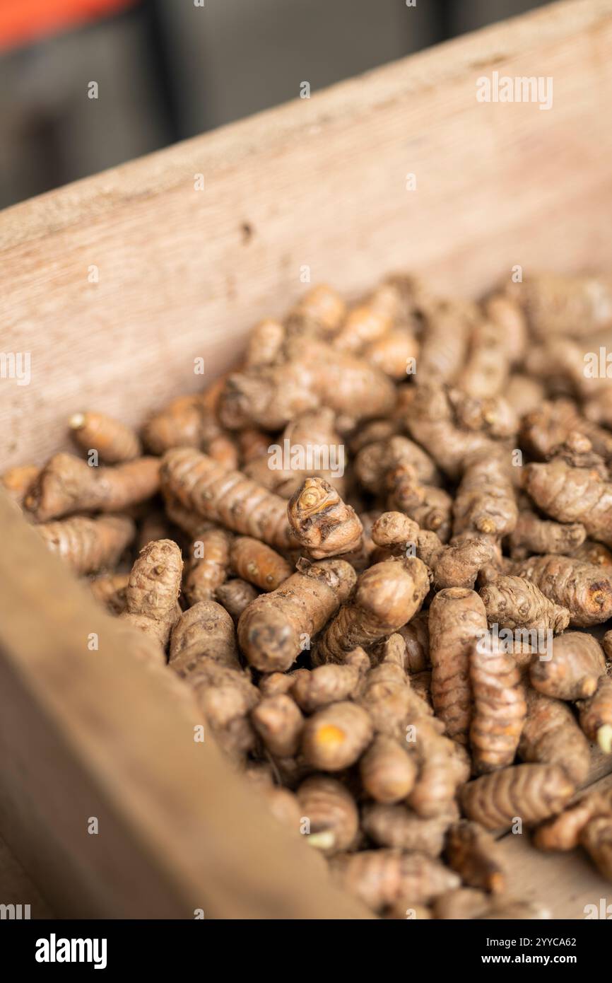 Food Market, Cotundo,, Napo Province, Amazonia, Ecuador Stock Photo - Alamy