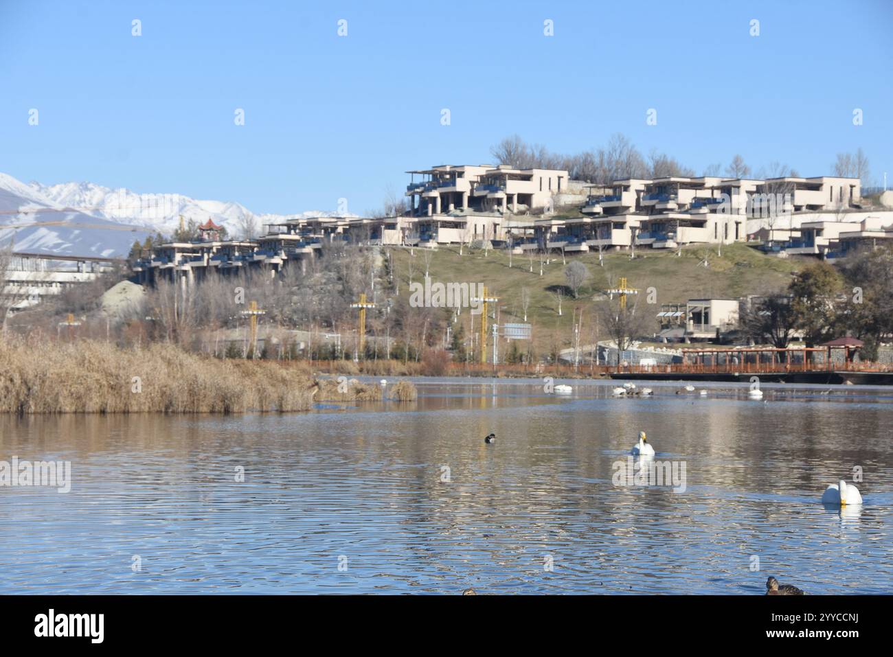 Wenquan. 28th Nov, 2024. This photo taken on Nov. 28, 2024 shows a hot ...