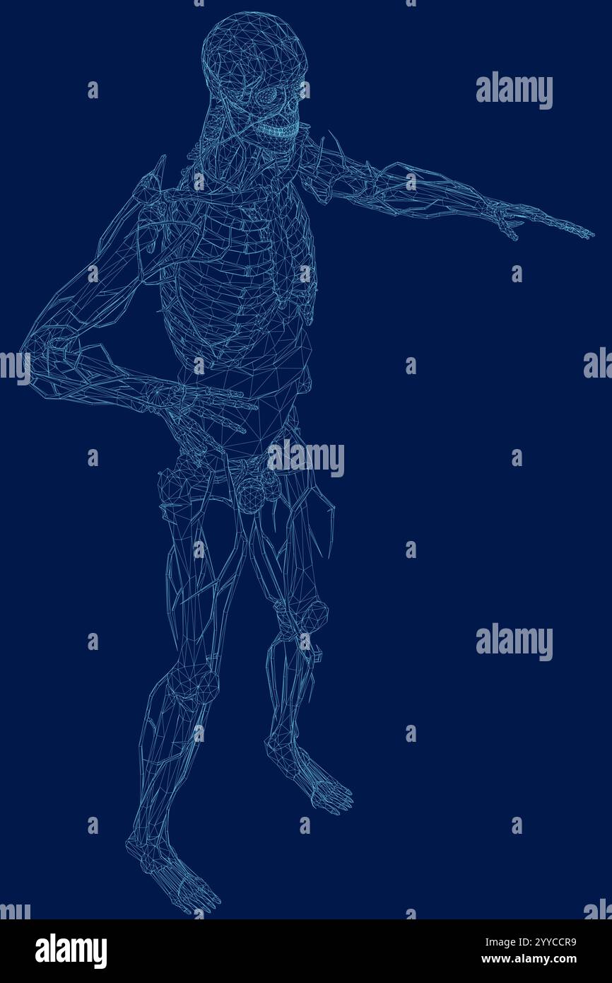 Human Skeleton and Organs wireframe. Vector illustration Stock Vector ...