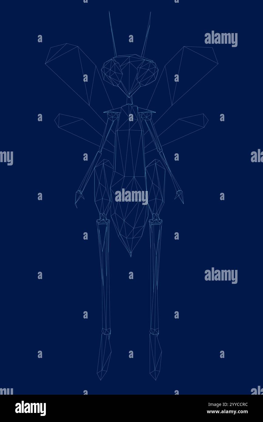 Wireframe low poly humanoid dragonfly. The line beetle stands on two ...