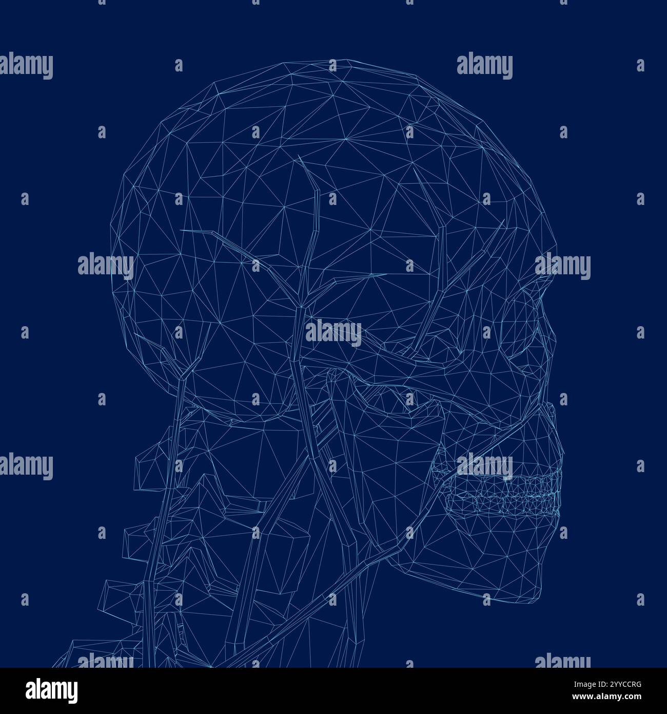 Human scull wireframe. Skull isolated on blue background. Line art outline vector illustration ...