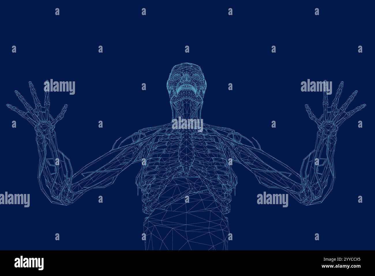 Human Skeleton and Organs wireframe. Front view. Vector illustration ...