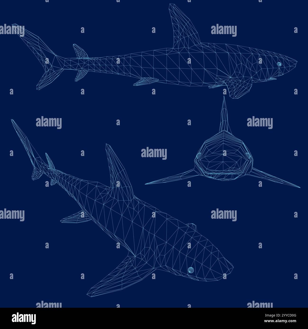 shark wireframe set. Vector illustration Stock Vector Image & Art - Alamy