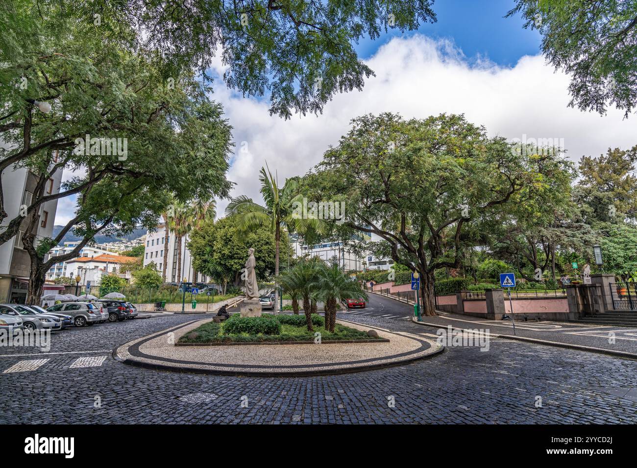 Palm tree streetscape hi-res stock photography and images - Alamy