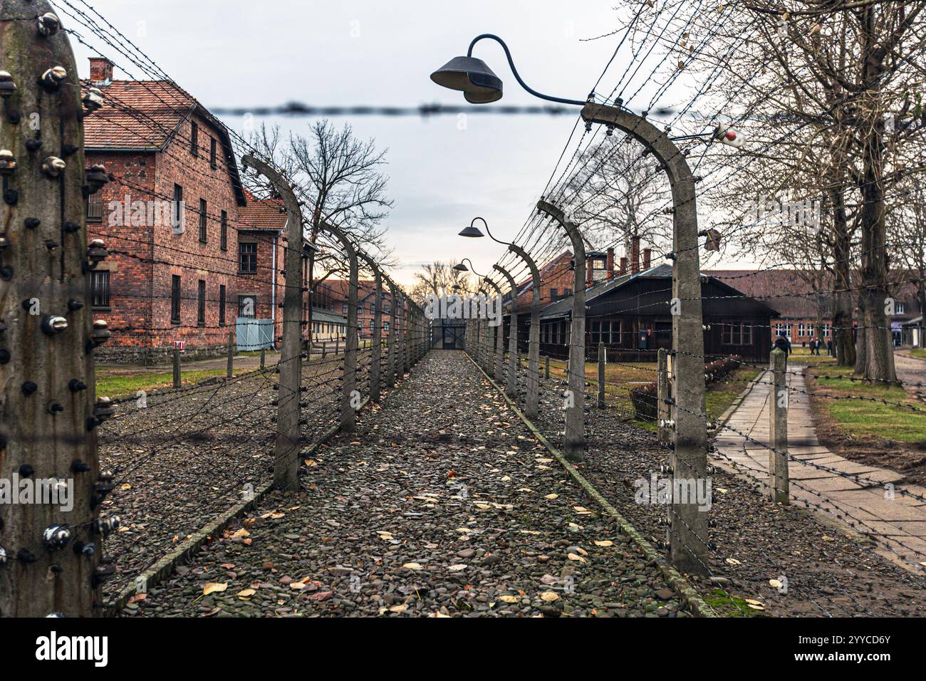 Barbed Wire Fences at Auschwitz I Stock Photo - Alamy