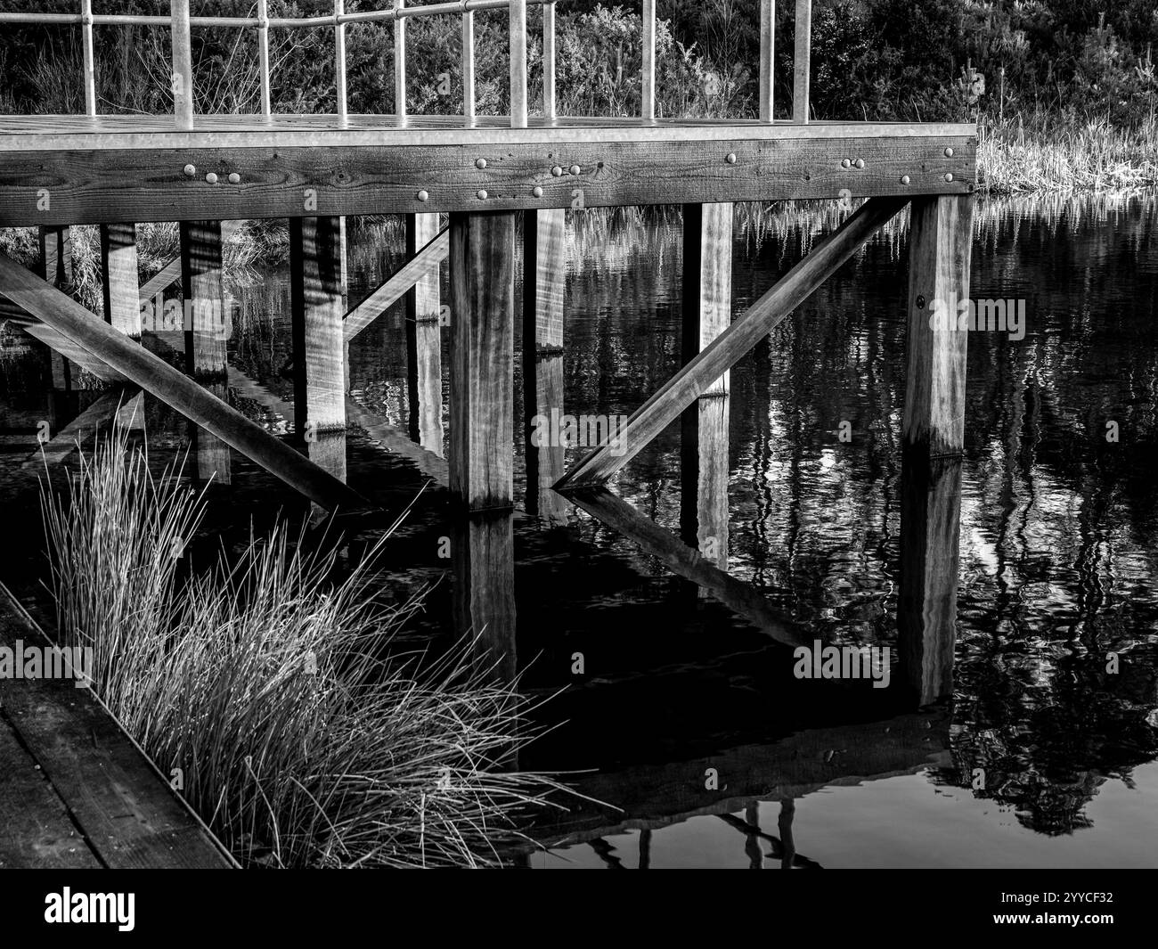 Natural recreation forest Black and White Stock Photos & Images - Alamy