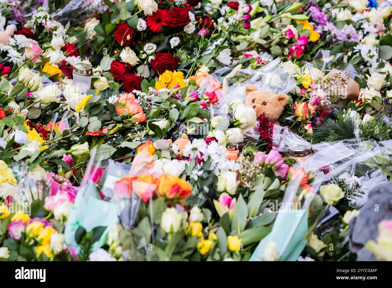 Magdeburg, Germany. 21st Dec, 2024. A teddy bear lies among the flowers ...