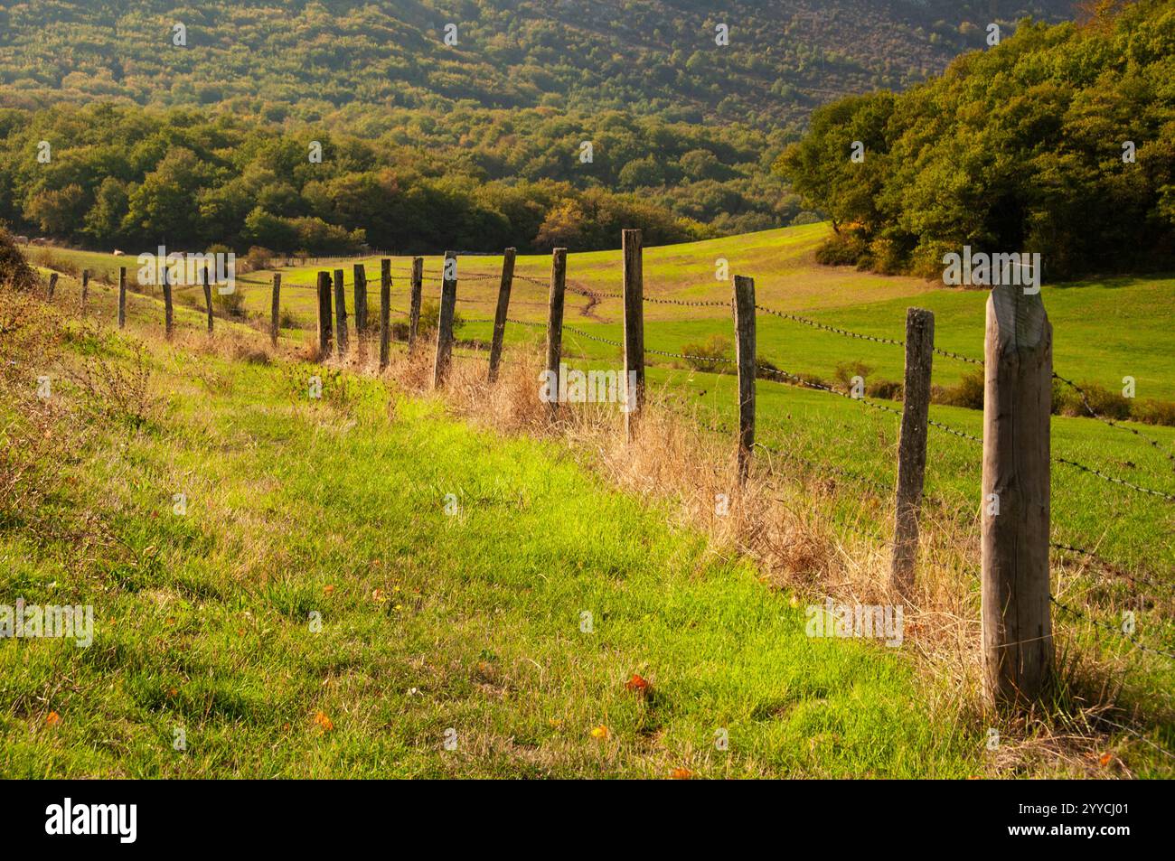 Ollo valley hi-res stock photography and images - Alamy