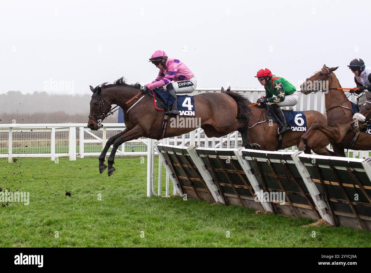 Ascot, Berkshire, UK. 21st December, 2024. CRAMBO (No 4) ridden by ...