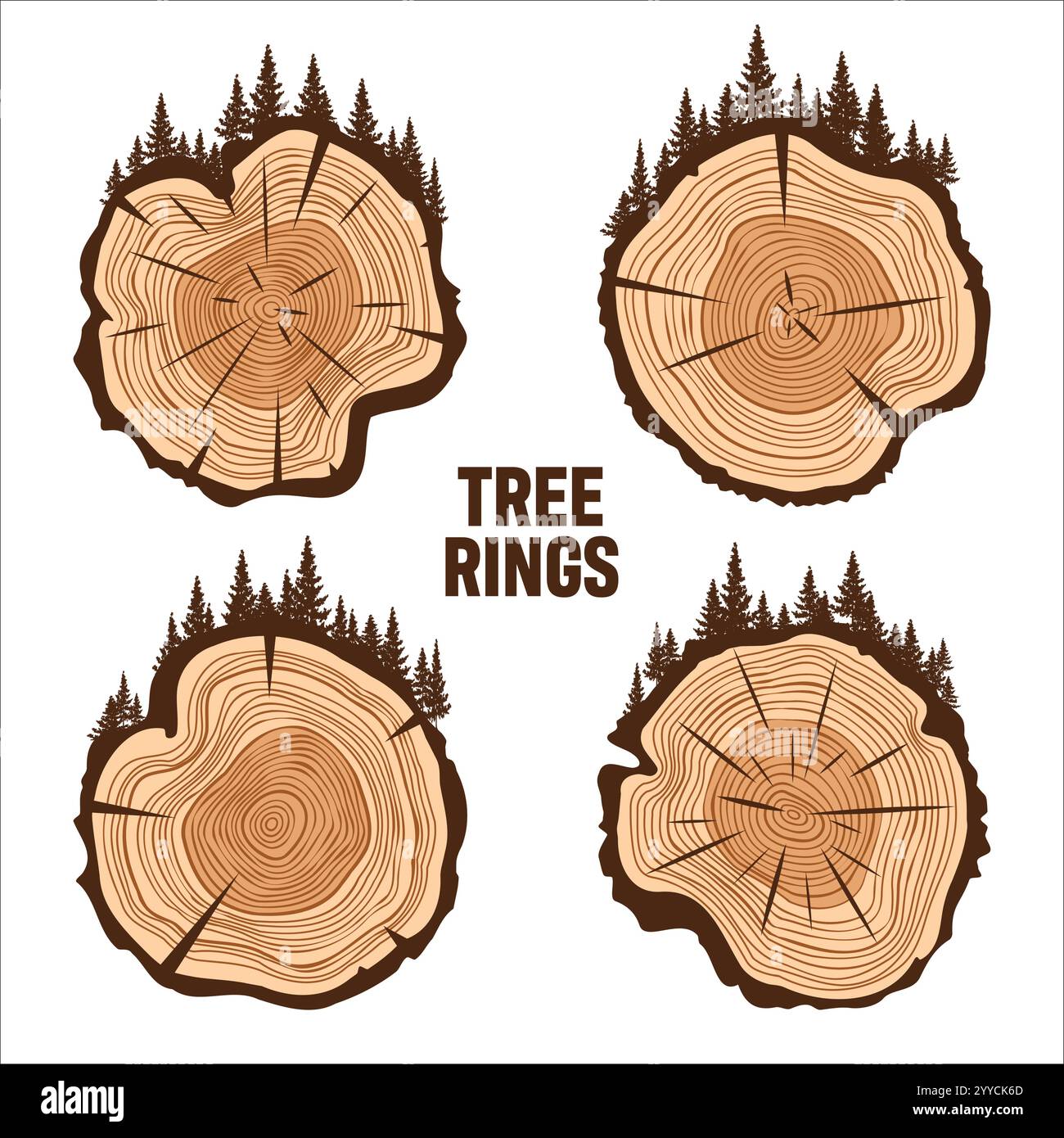 Round tree trunk cuts with trees and forest. Sawn pine or oak slices ...