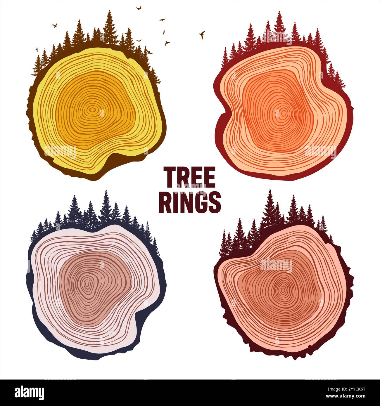Round tree trunk cuts with trees, forest and birds. Sawn pine or oak ...