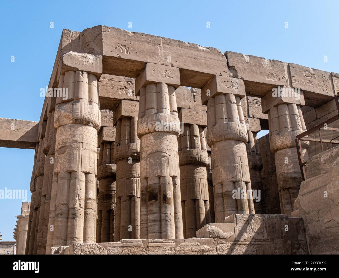 Pillars covered in hieroglyphics and carvings standing inside Luxor ...