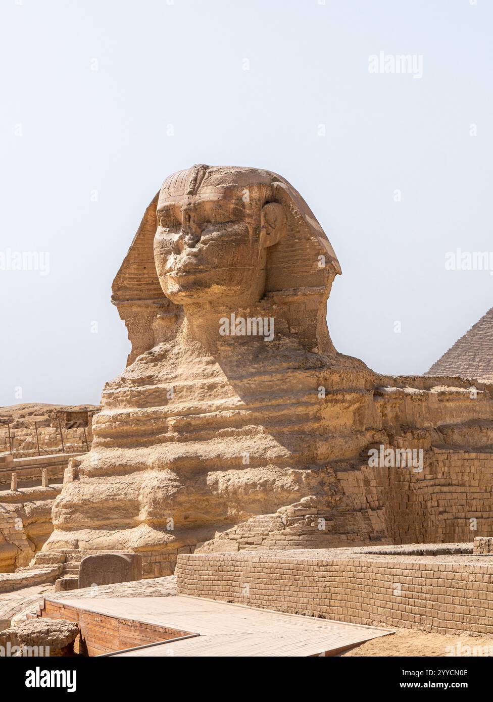 The Great Sphynx of Giza on a sunny afternoon - Portrait Shot Stock ...